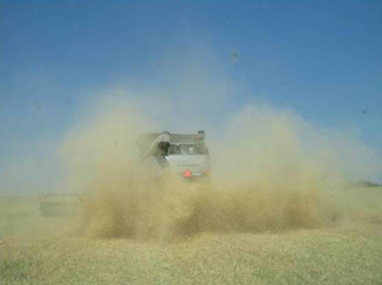 TURBO® II Precleaner - Borserini